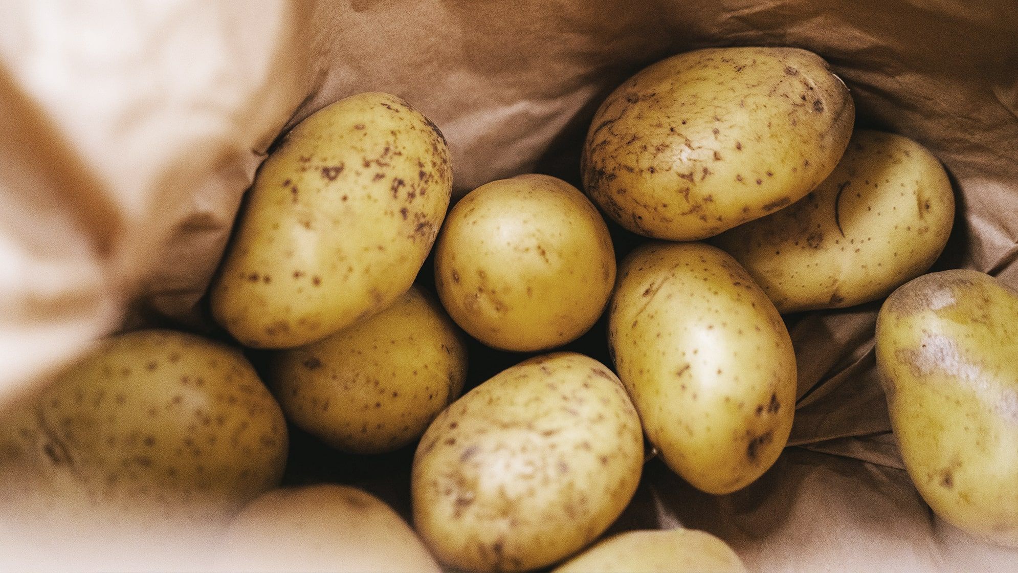 How to grow potatoes | Patch
